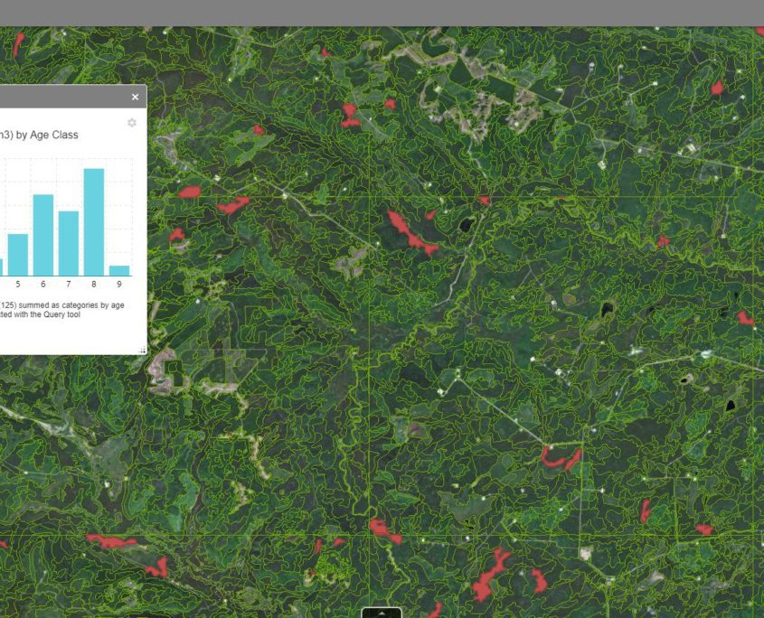 Resource Analysis Services | Forest Estate Stand Level Modeling