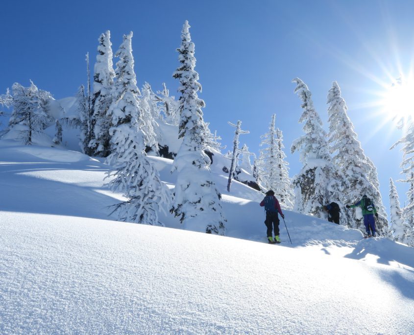 Our BC Engineering Firms Office Locations | Ecora